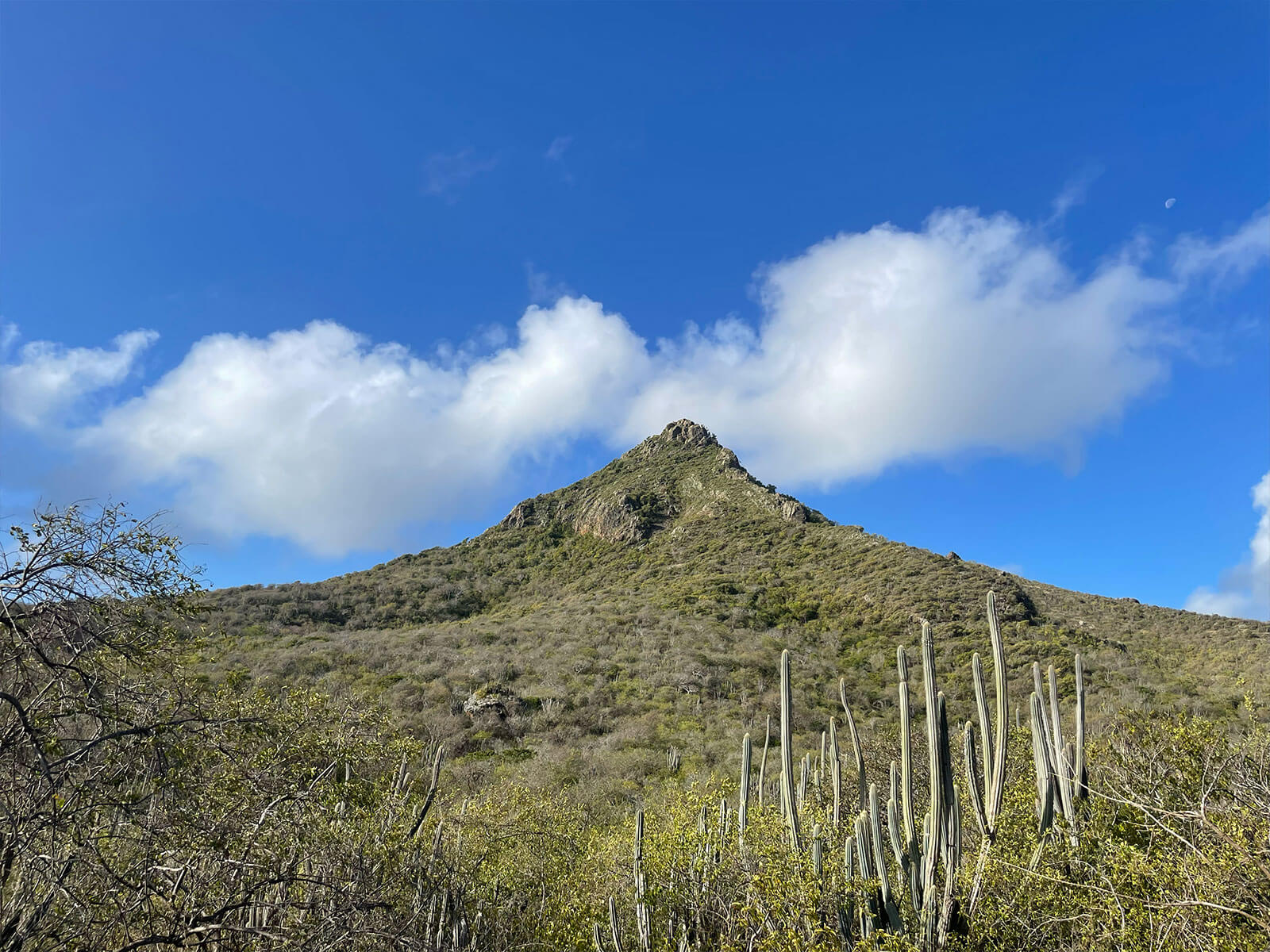 Sportief? Beklim de Christoffelberg op Curaçao! ⋆ Curaçaogids